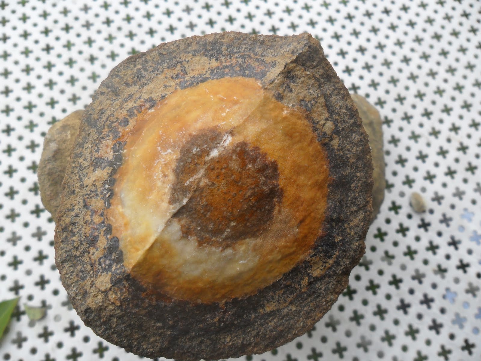 distrazioni di una distratta: Minerali