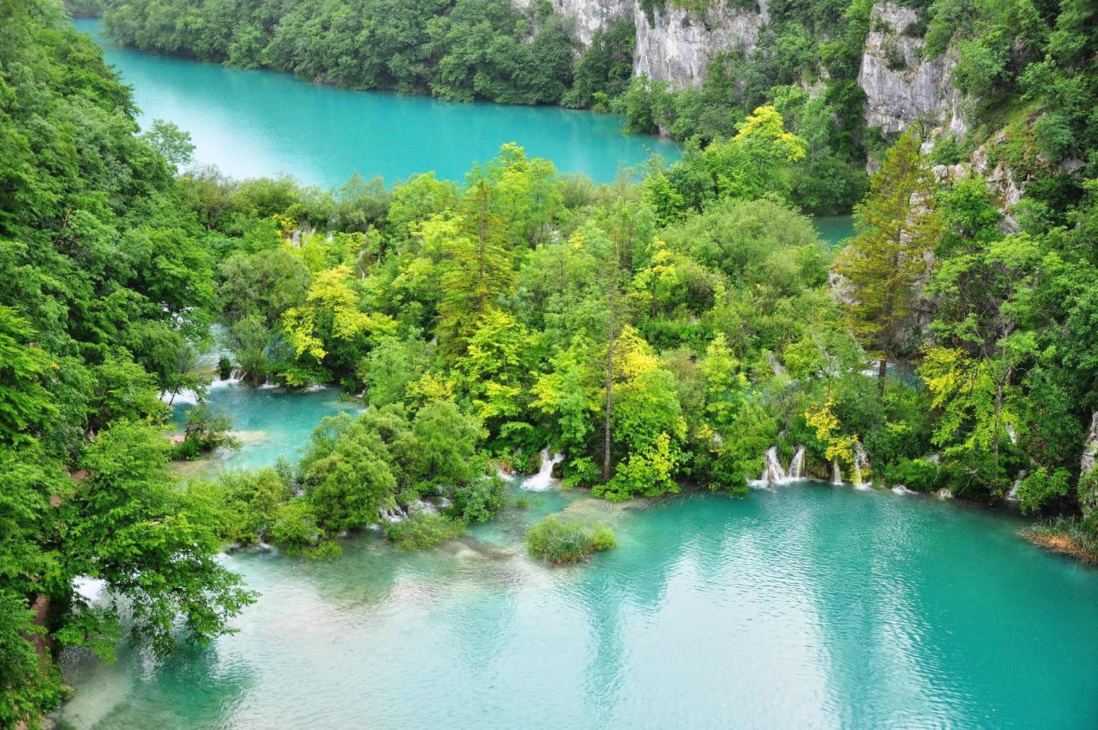 Un Certain Regard: Ultimele amintiri verde turcoaz