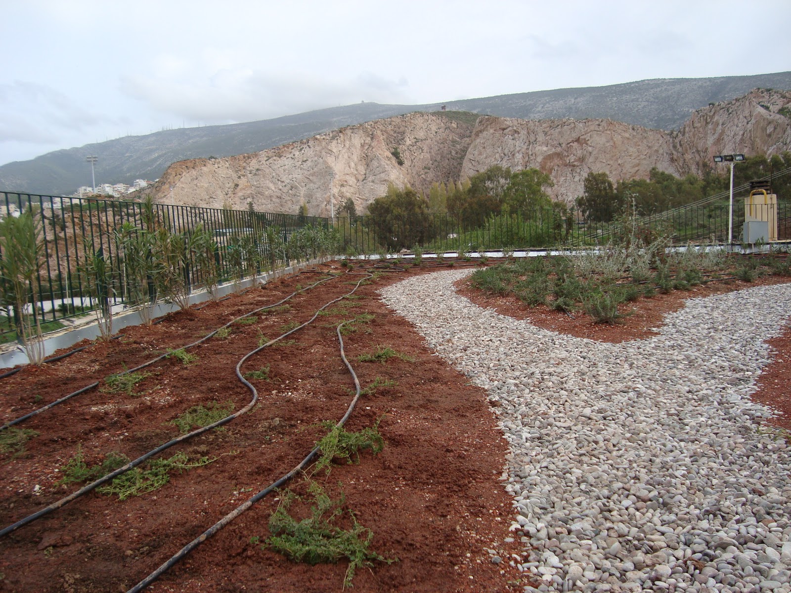 ΤΑΡΑΤΣΟΚΗΠΟΣ...Ο ΚΗΠΟΣ ΤΩΝ ΠΟΛΕΩΝ: Περισσότερα πράσινα δώματα σε ...