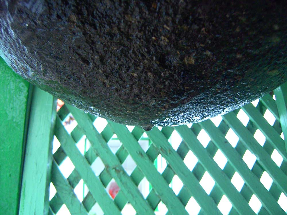 Rehabilitación de una destiladera canaria