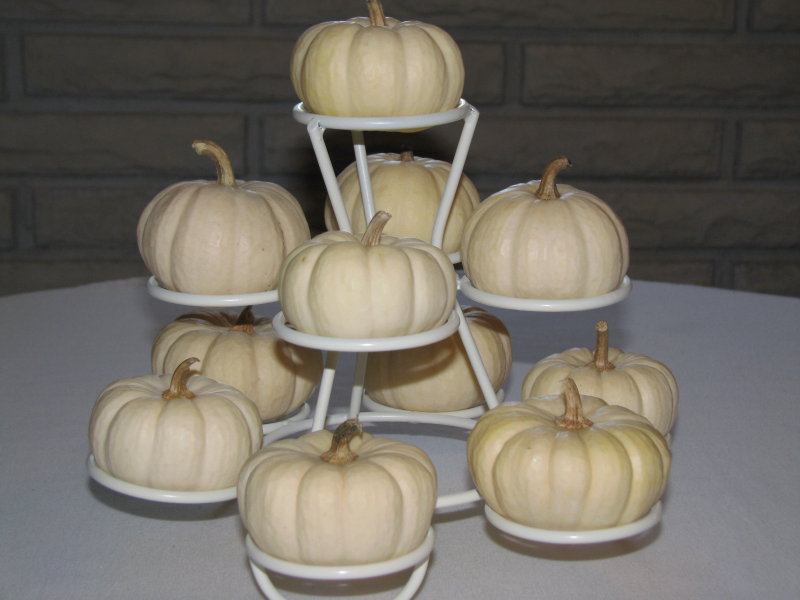 Wayside Treasures: Chippy white...shabby white...