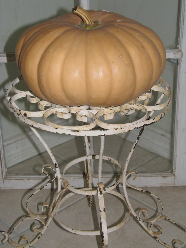 Wayside Treasures: Chippy white...shabby white...