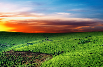 Plains | COPY N PAST WALLPAPER