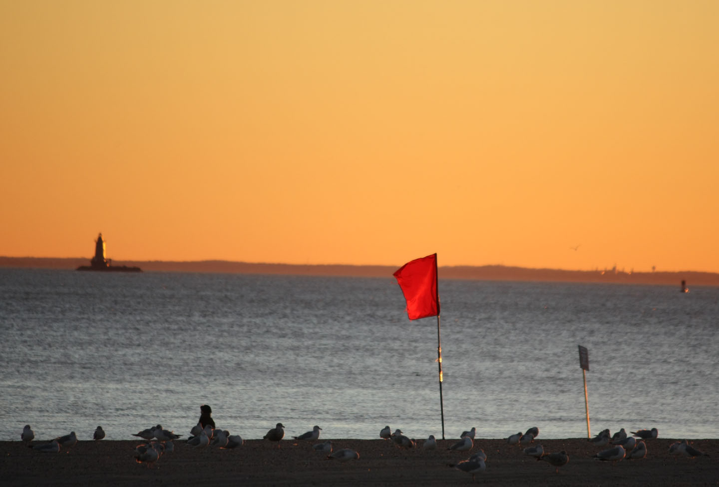 66 Square Feet (Plus): Coney Island, fading fast