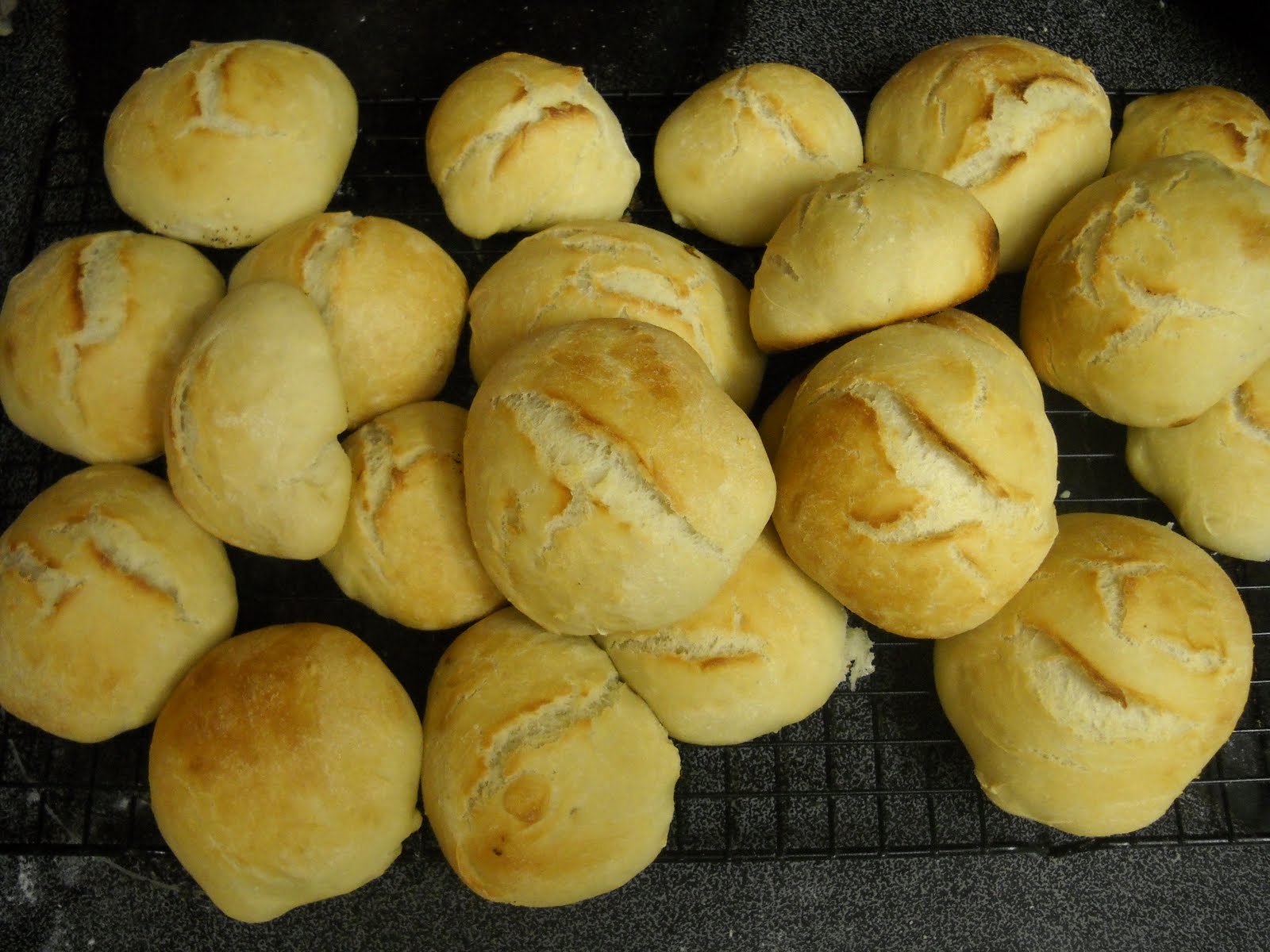 Blessed Vegan Life: Gorgeous Round Rolls, Giveaway Photo, and Festivus