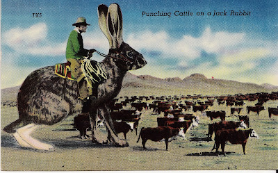 The Burnt Selena Project: Wonderful World of Clutter: Cattle Punching ...