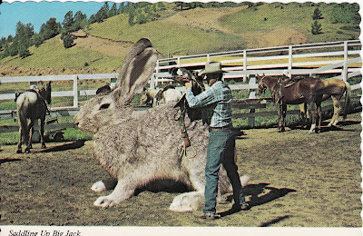 The Burnt Selena Project: Wonderful World of Clutter: Cattle Punching ...