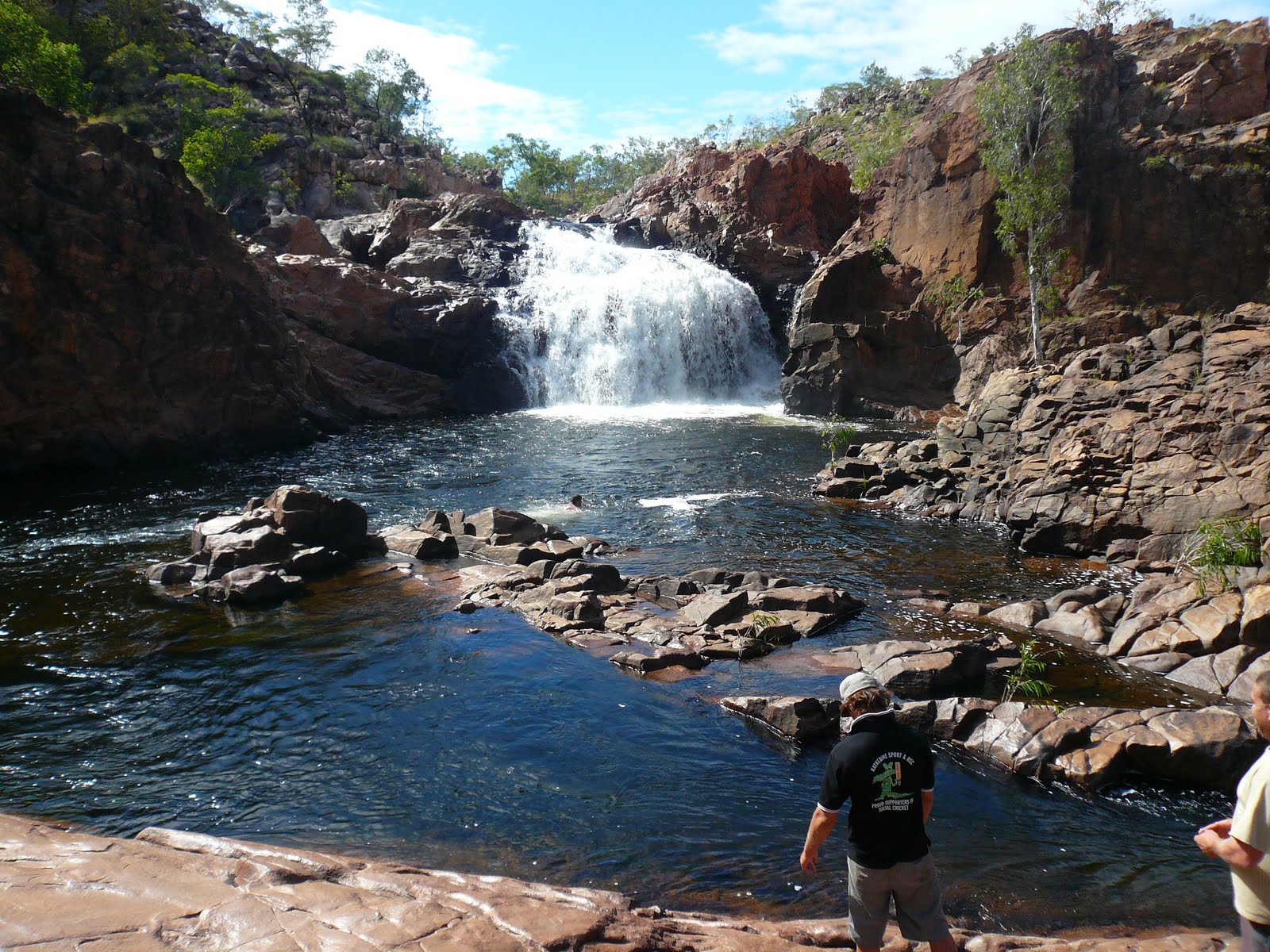 Around Australia, well almost!!: Cycad Gardens and Leliyn (Edith Falls)
