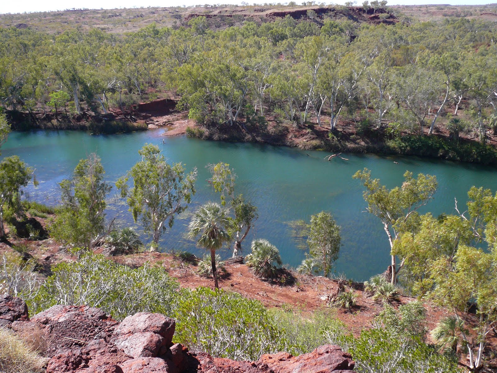 Around Australia, well almost!!: Millstream-Chichester National Park