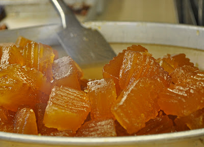 Fritillaria In Turkey: A sweet delight for the cold season - kabak tatlısı