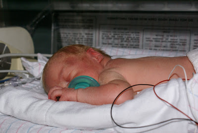 wilkinsonquints: Remembering the Birth...