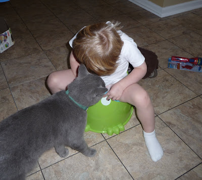 Our Family: Frog Potty