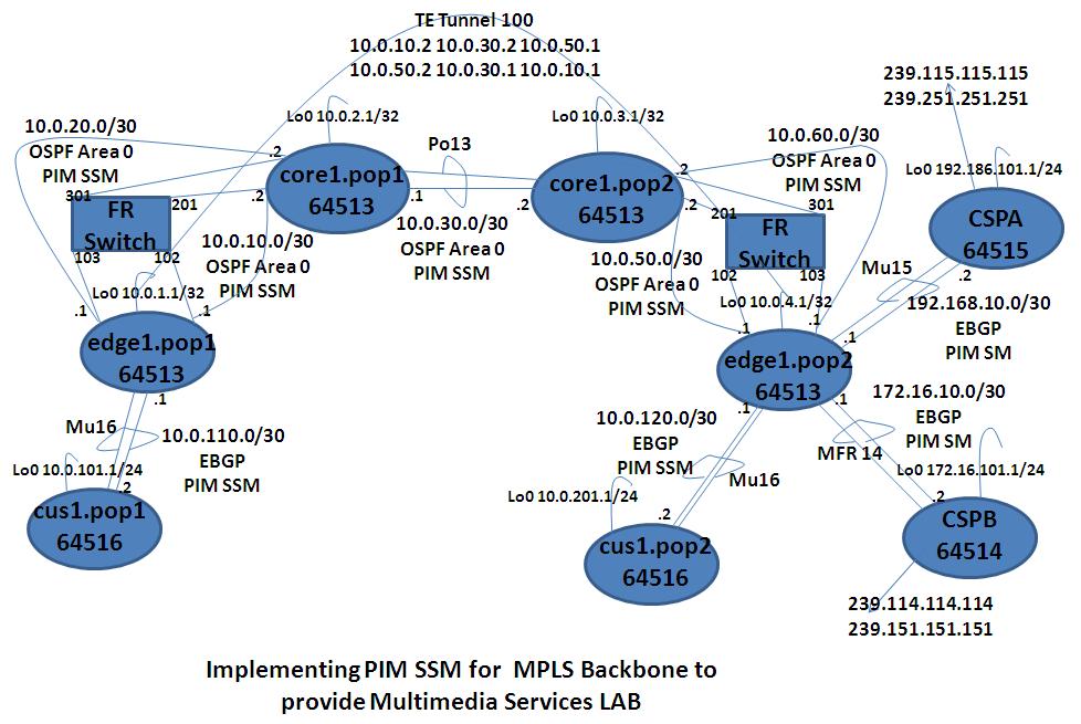 Vaibhava Networking Forum Implementing Pim Ssm For Mpls Backbone To Provide Multimedia Services Lab