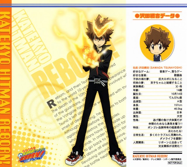 Katekyo Hitman Reborn Decimo