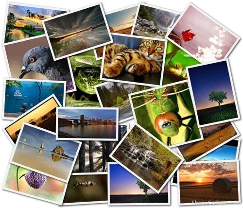 Cabeceros Nuevos IV: Collage de fotos | Decoracion y Manualidades