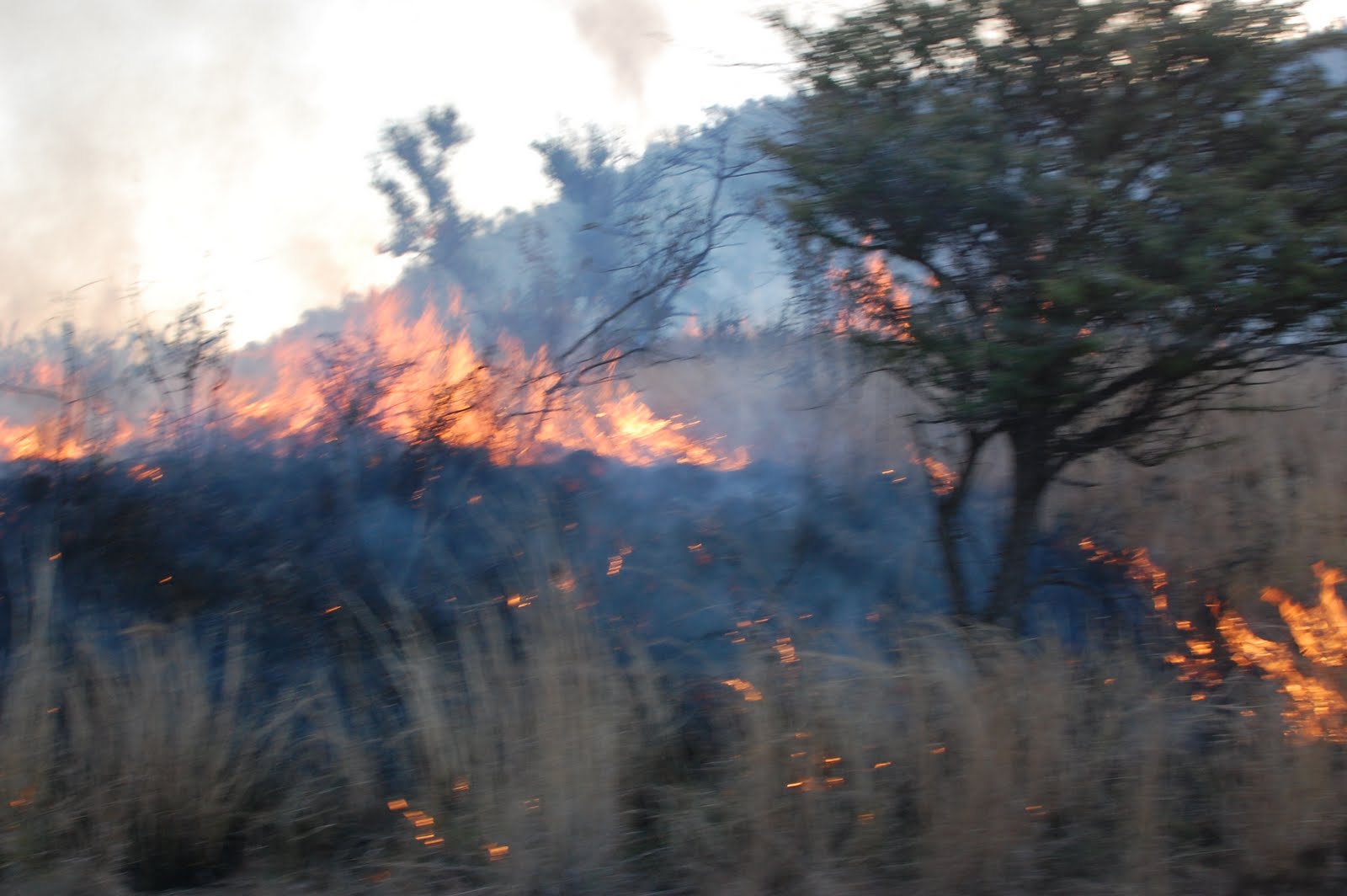 Discovering Plutonium By Accident: There's Nothing Quite Like a Huge ...