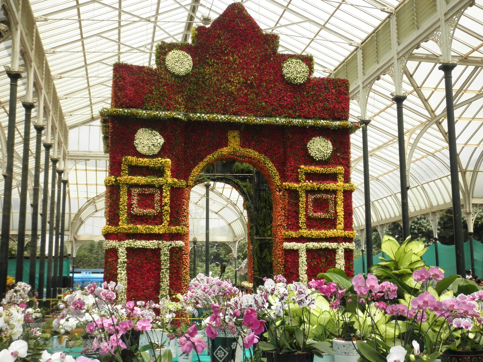 Trees, Plants & more: Flower show at Lalbagh
