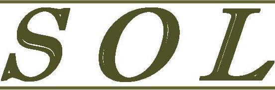 PERIÓDICO SOL: EL NUEVO PRESIDENTE ELECTO EN HONDURAS