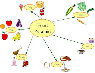 EDTF200 sect. 02 group D: Nutrition Concept Map