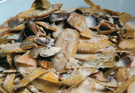 Dari Koleksi Angah Rohani: Remis Masak Lemak Pisang Muda