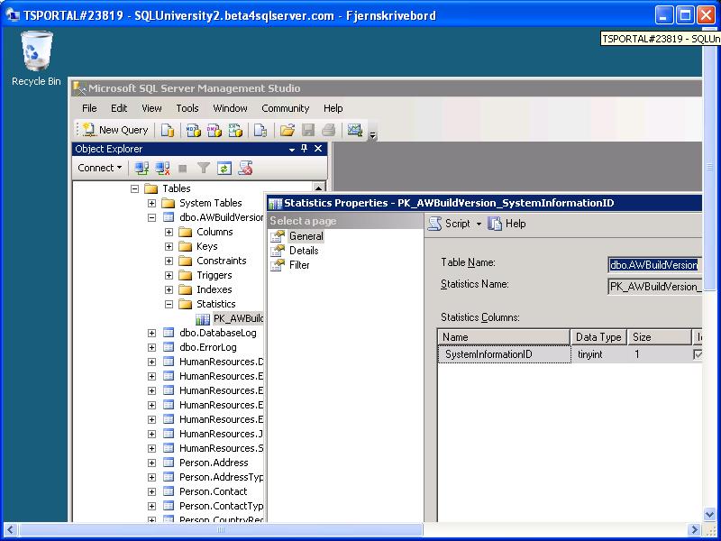 Annette, Maria og Jens F.: SQL SAN and the beauty of databases