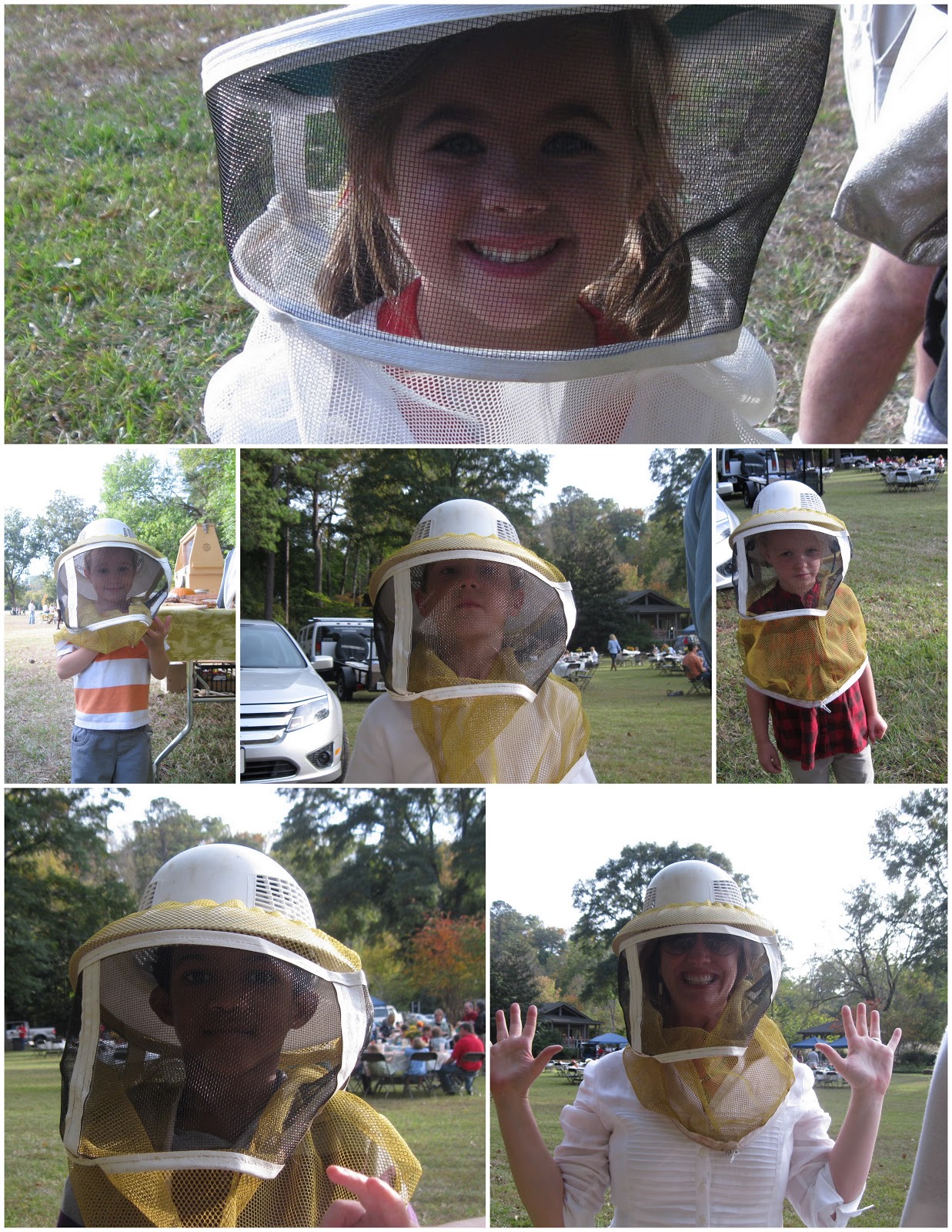 Linda's Bees: Introducing Buckhead to Bees and Beekeeping