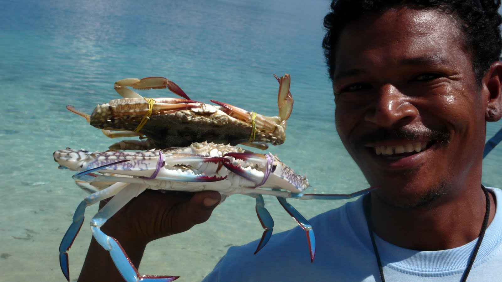 Mga kung anu-ano ni Turmukoy at Talampunay: Nagkakantutang paru-paro ...