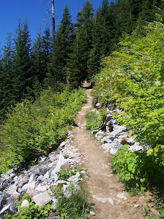 At the Corner of Trail and Trail: The Ira Spring Trail/Bandera Mountain ...