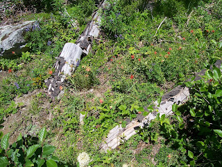 At the Corner of Trail and Trail: The Ira Spring Trail/Bandera Mountain ...