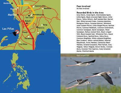TRAVEL CENTRAL PHILIPPINES: Birdwatching in the Philippines Volume 1 ...
