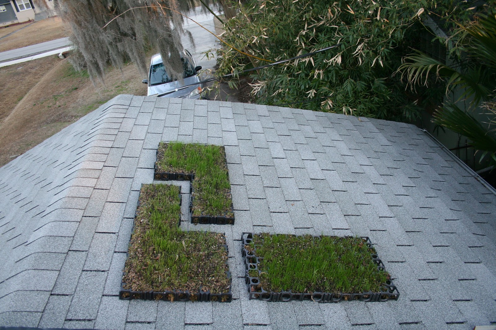 Kevin Songer, Art and Languages of Nature: Wheat Grass Green Roof ...