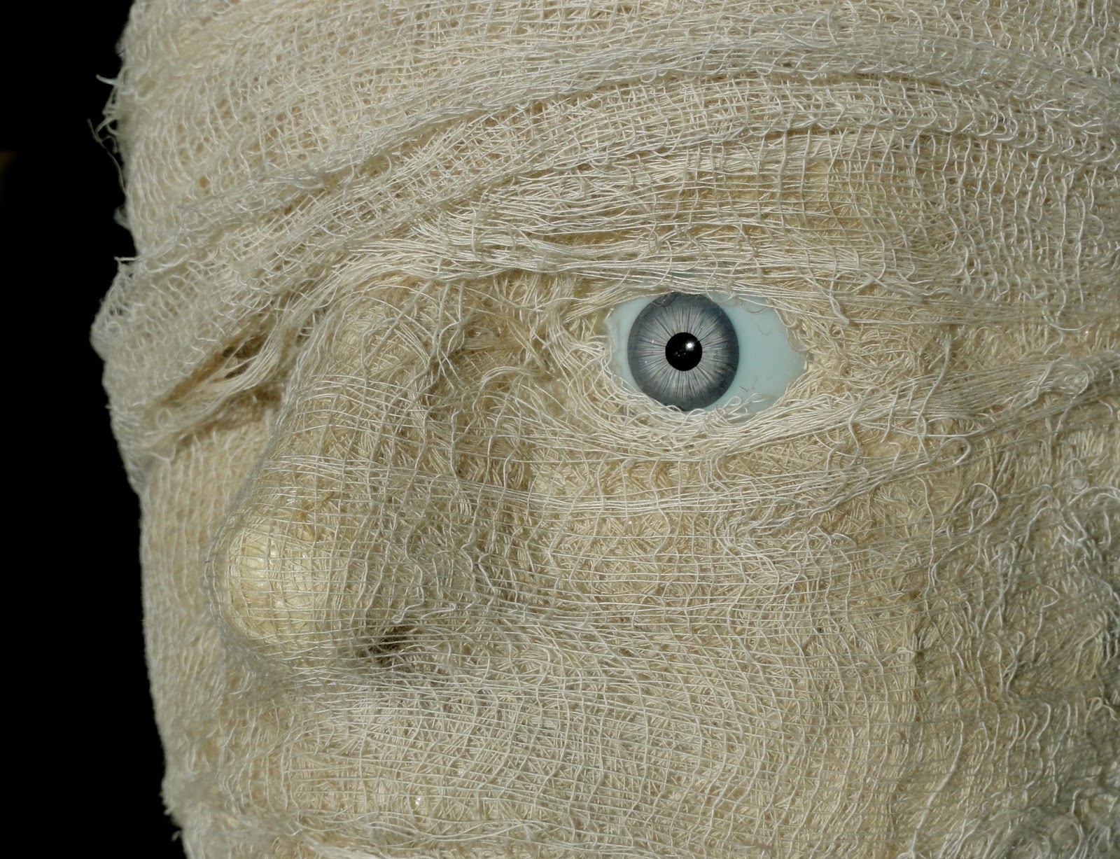 BirshyKat: Mummy Head #1...done?!