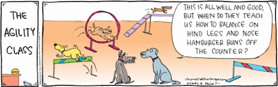 Rudy Tootie's Blog: Agility Cartoon!