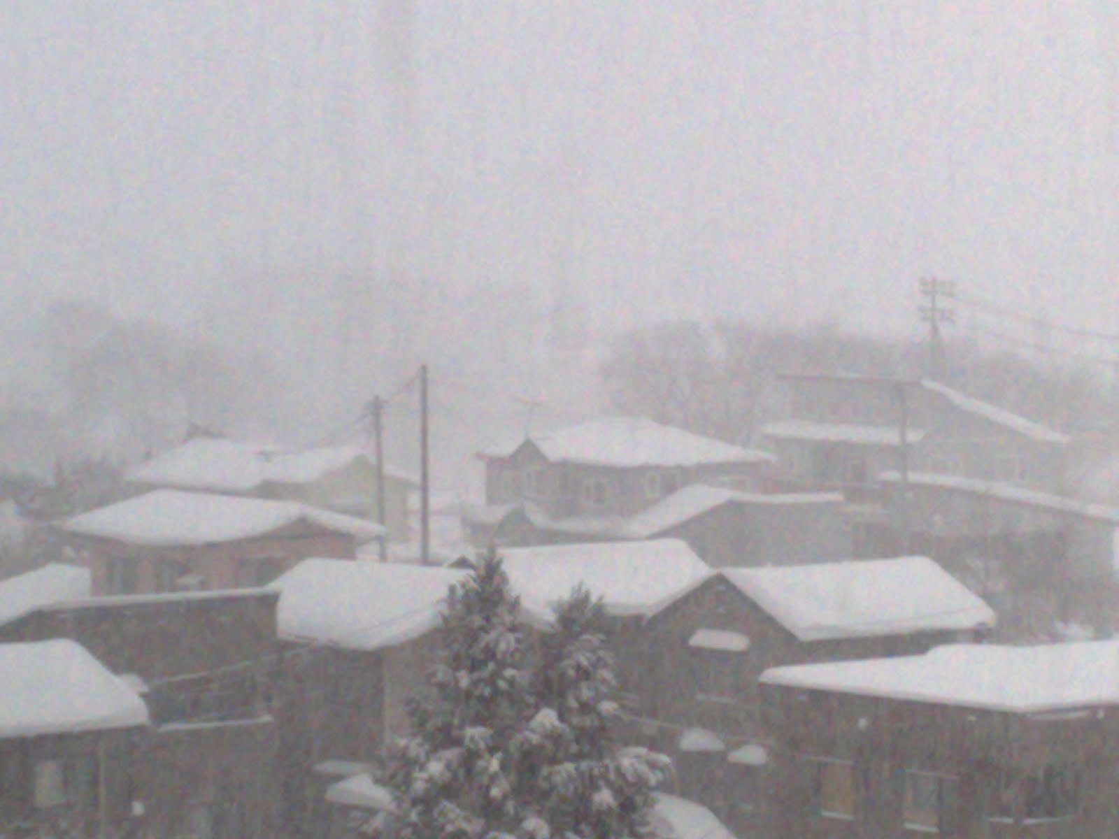 Misawa Japan Air Base: Weather In Misawa Japan