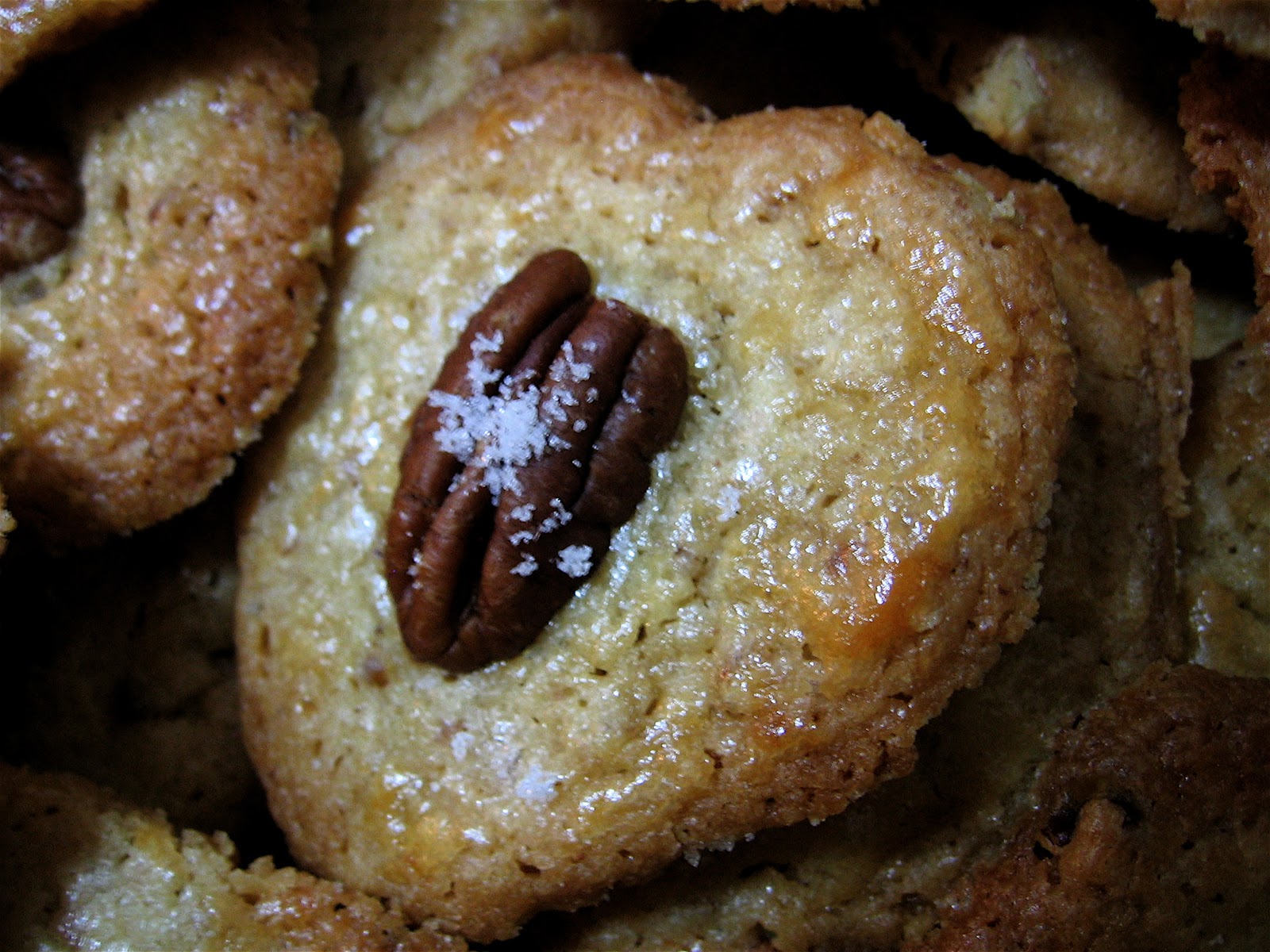 Recipes For Laughter: Maple Pecan Shortbread Cookies