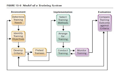 Human Resource Management: Systems Approach to Training
