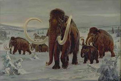 Blog pré-histórico: Tudo sobre mamutes