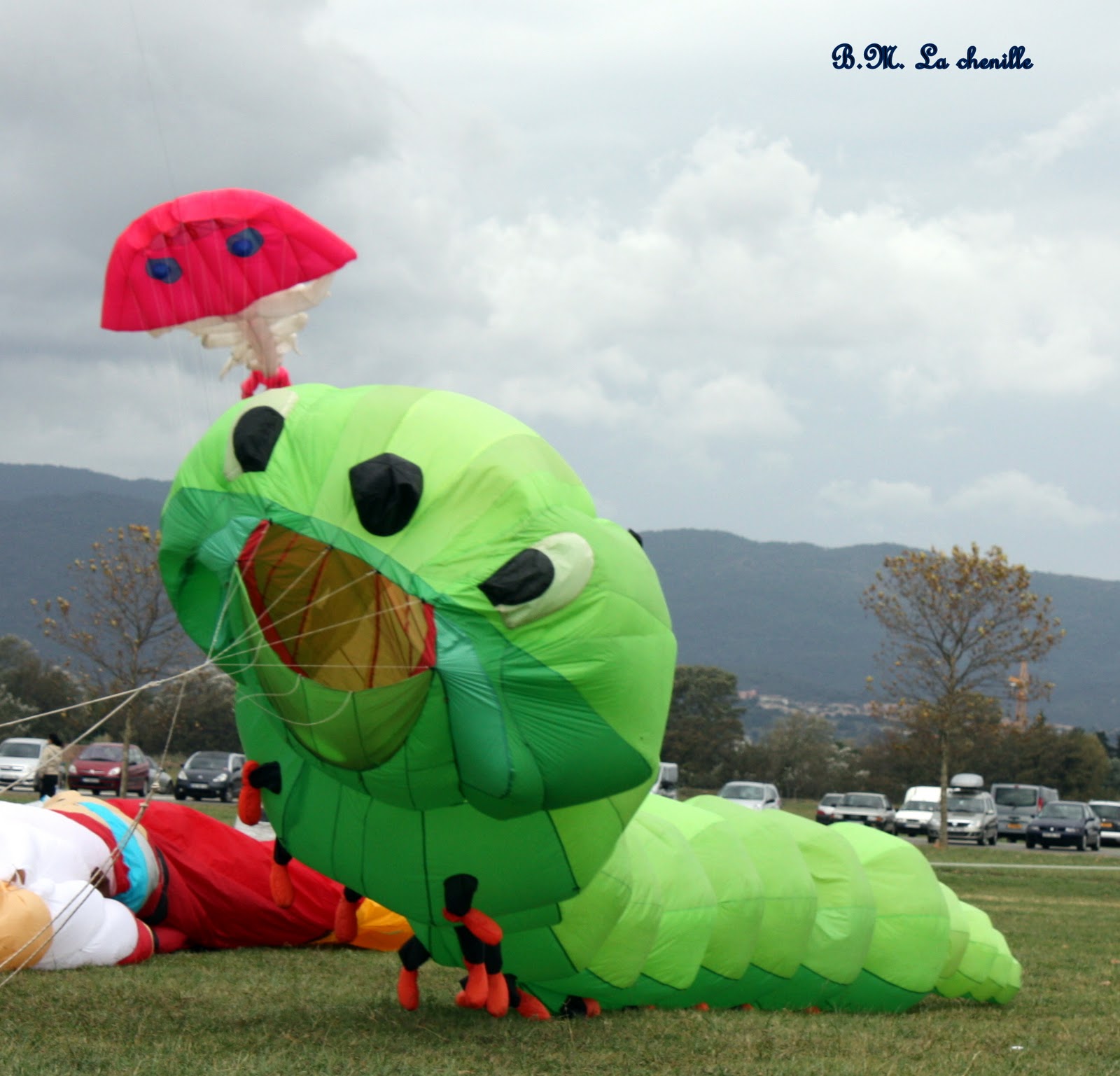 DECOUVERTE: Cerf volants