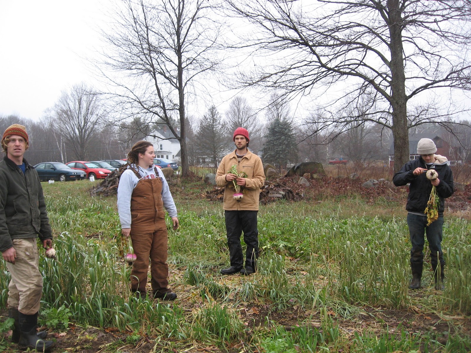 Hay! Ewe! Root for the Farmers!: Monday harvest, weeding and bread oven