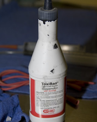 Liberty Wildlife Blog: 8/17/08 - 8/24/08