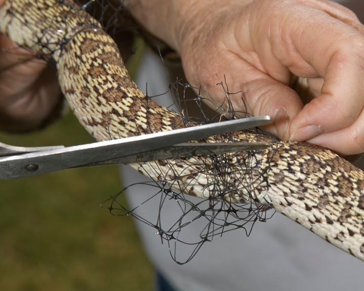 Liberty Wildlife Blog: This Week at Liberty 05/24/2010