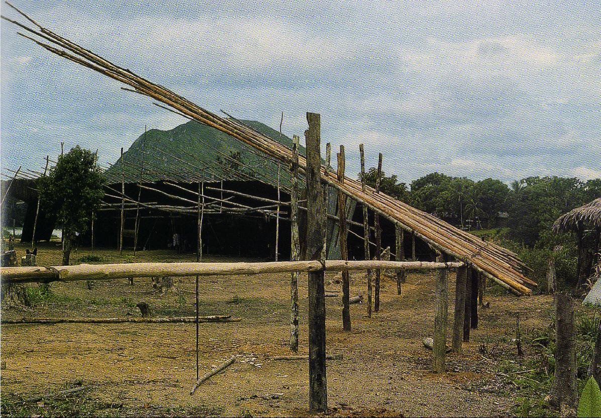 ARQUITECTURA INDÍGENA: YANOMAMI