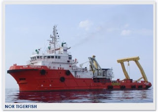 American Professional Mariners