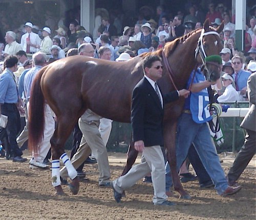 RANK EVERYTHING: Preakness Names