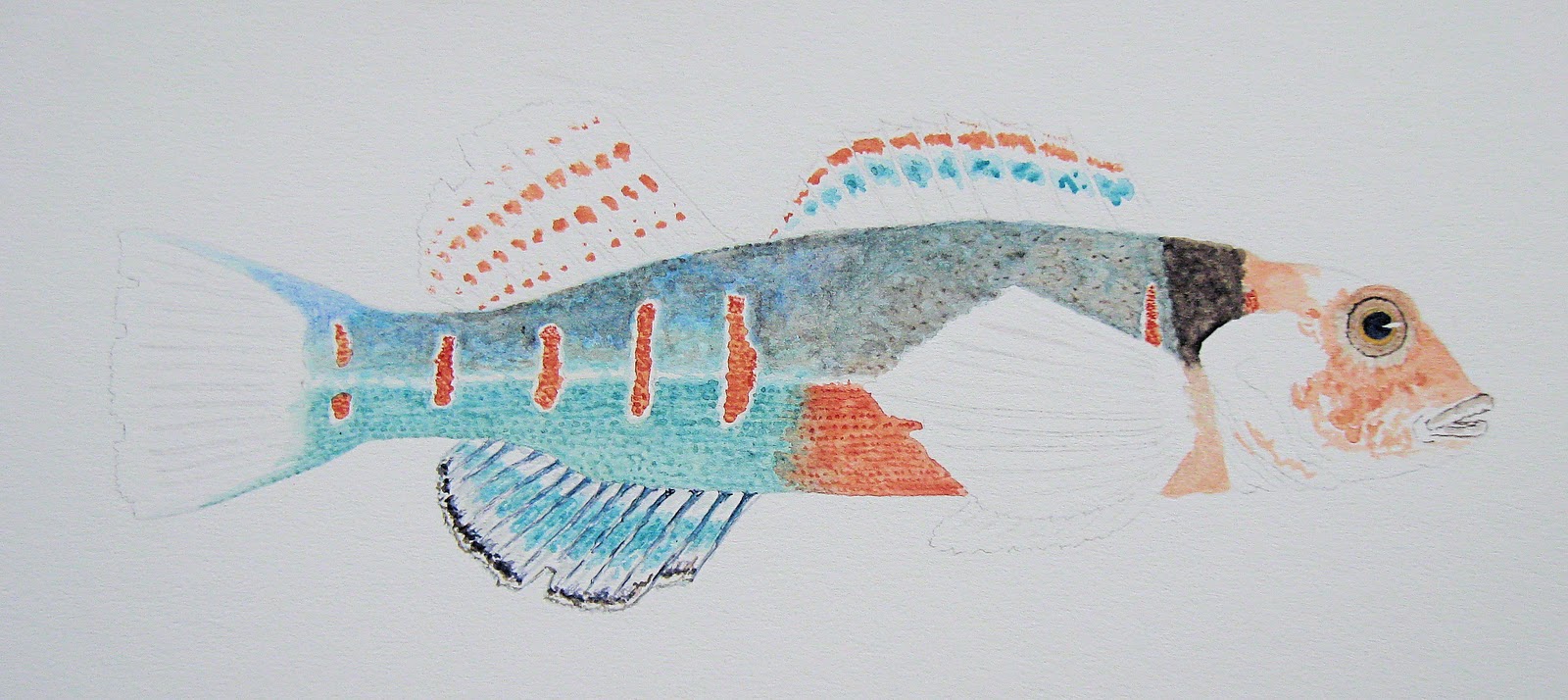 Thom Glace- Watercolor Artist: The making of 'Watercolor Study of ...