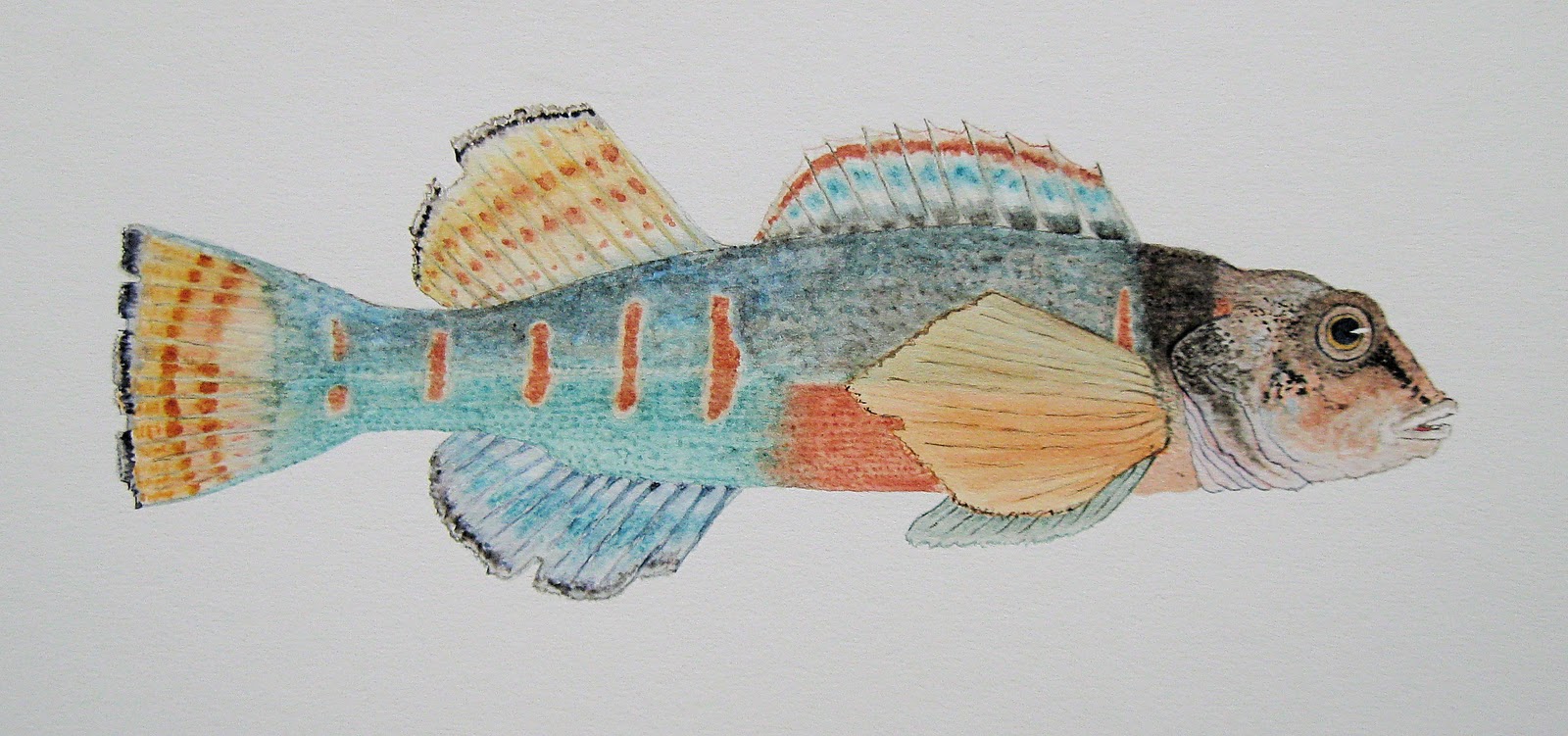 Thom Glace- Watercolor Artist: The making of 'Watercolor Study of ...