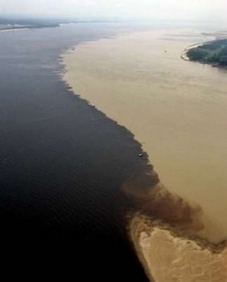 Biografia: Rio Solimões