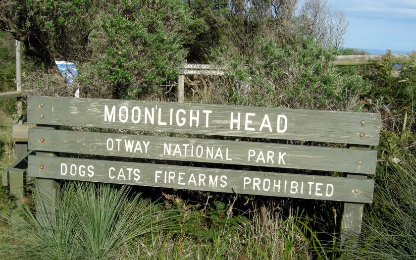 The Great Cretaceous Walk: The End of the Great Cretaceous Walk ...