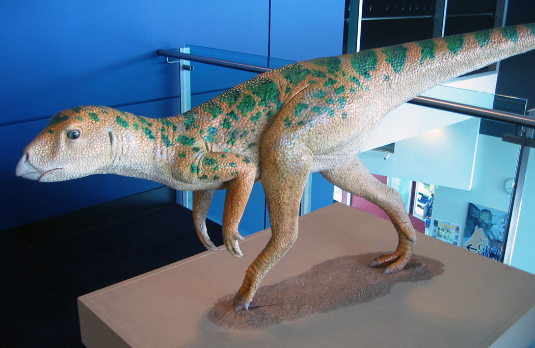 The Great Cretaceous Walk: Cretaceous Worlds of Queensland, Part II: In ...