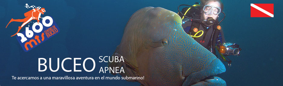 2600 metros Escuela de Buceo SCUBA & APNEA: Simone Melchior Cousteau y ...